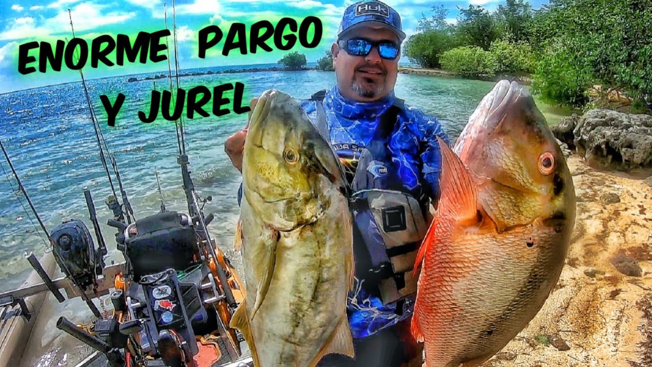 Pescando POTENTE PARGO y Yellow Jack en Kayak - Pesca en Puerto Rico ...