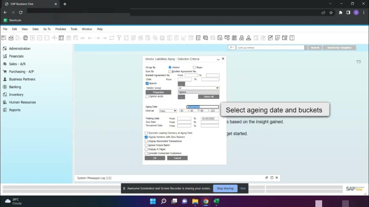 How to view or download Vendors or Suppliers Ageing Report in SAP B1 ...