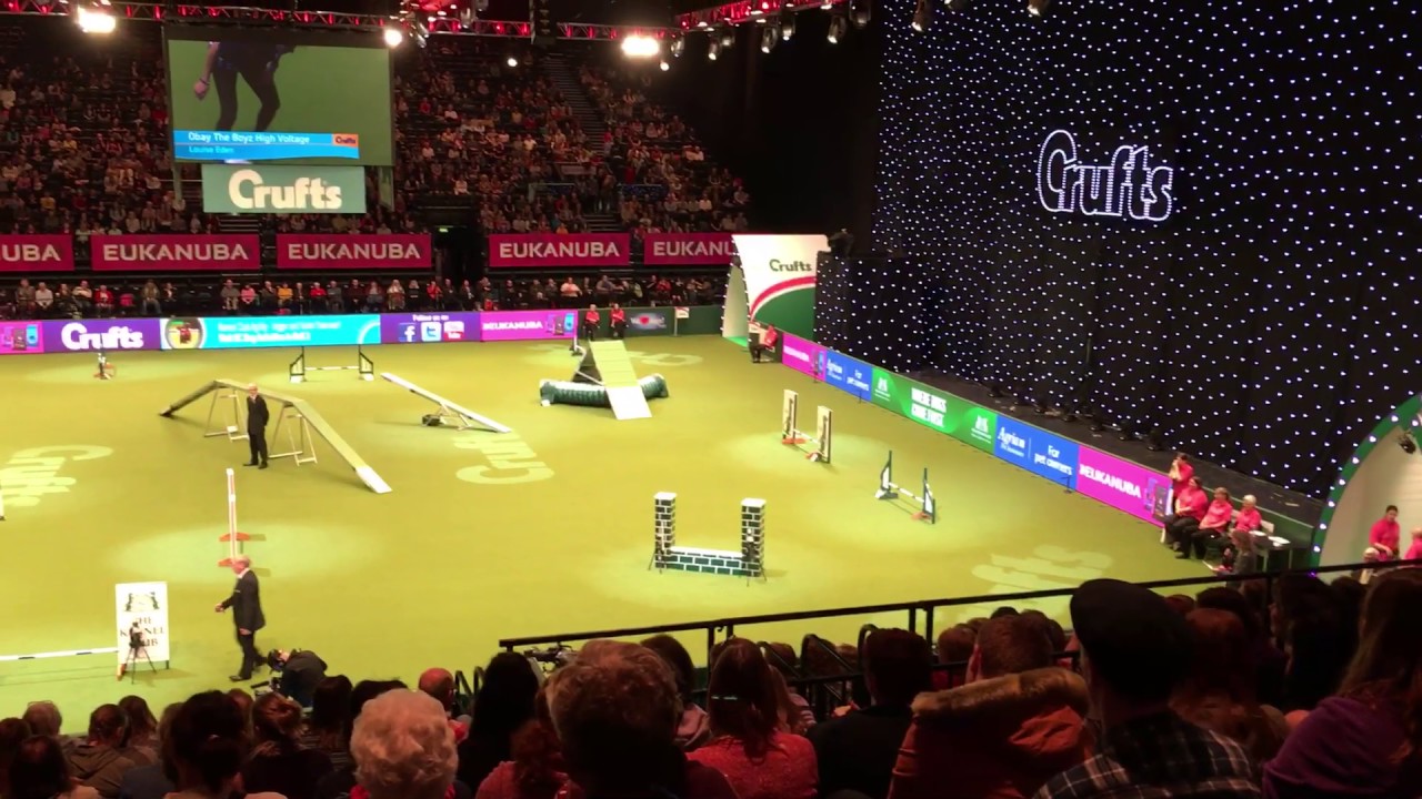 Crufts 2017 Agility - Kennel Club British open Final - YouTube