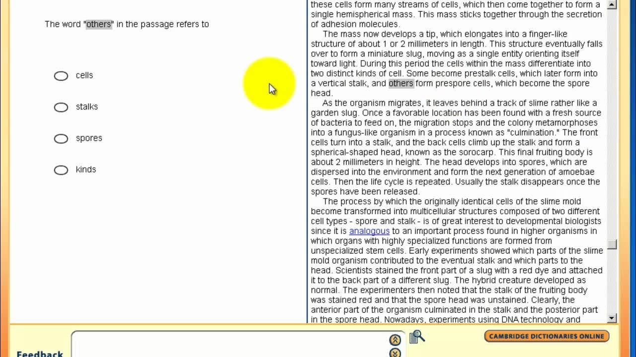 iBT reading Slime molds - YouTube