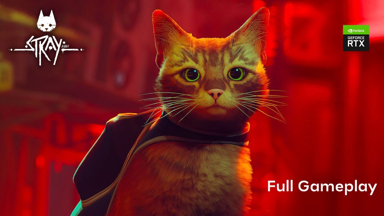 Stray PC Full Gameplay [2K 60FPS] - YouTube