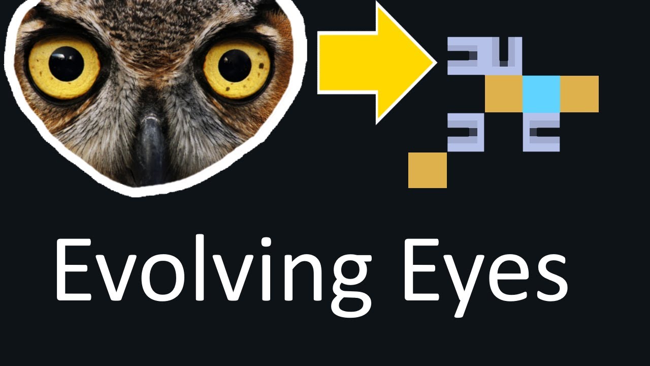 Evolution of Eyes and Brains [The Life Engine] - YouTube