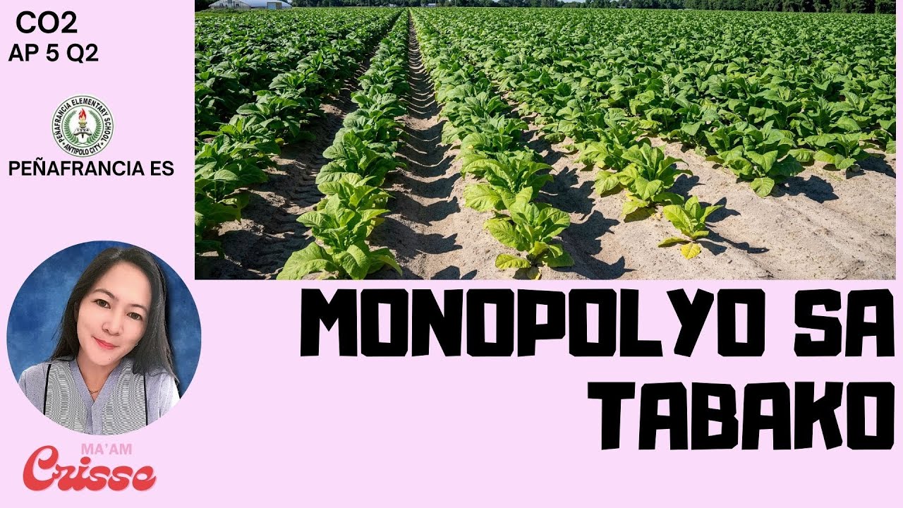 ARALING PANLIPUNAN 5 - QUARTER 2 - MGA EPEKTO NG MONOPOLYO SA TABAKO ...