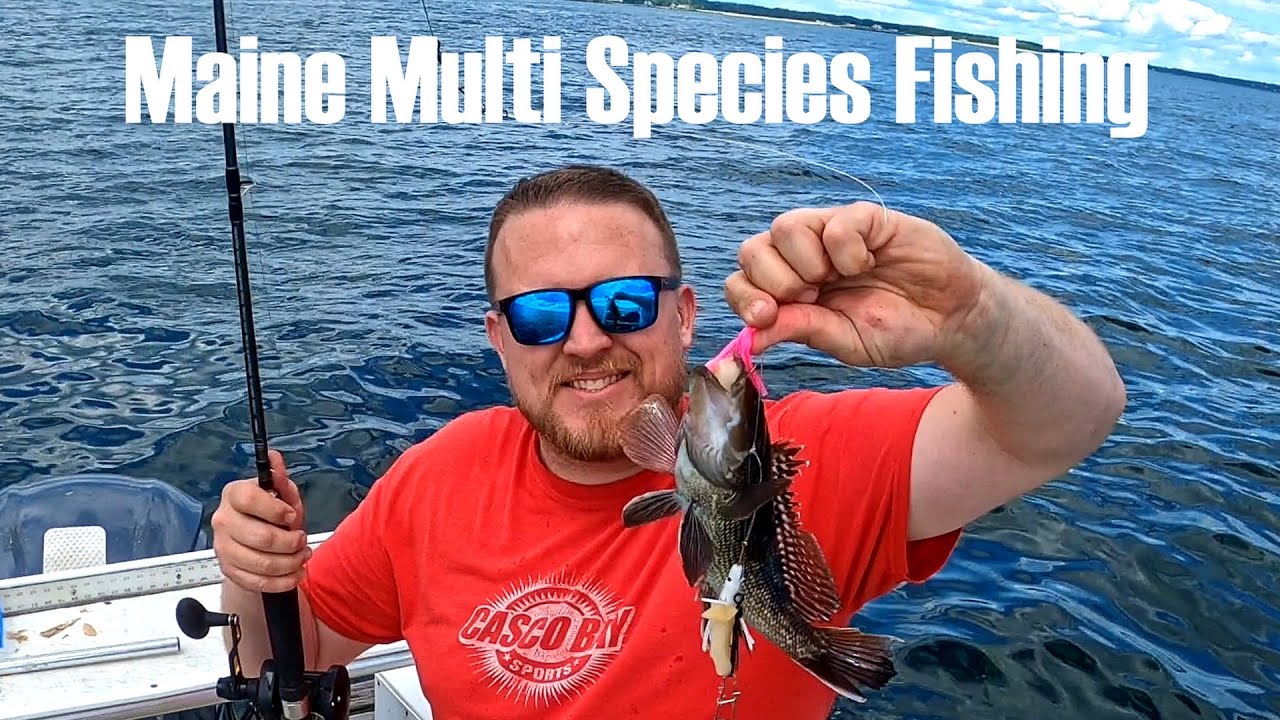 Multi Species Fishing in Maine. Cod, Stripers, Black Sea Bass, Pollock ...