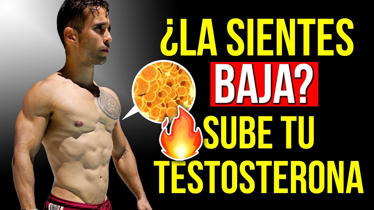 Cómo saber si TU TESTOSTERONA es BAJA (¡Debes saber esto ya!) - YouTube