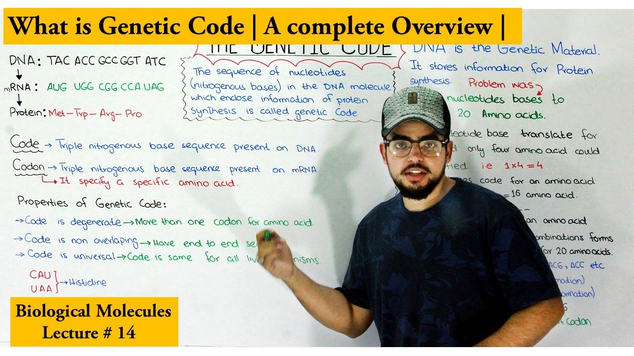 The Genetic code | Code vs Codon | Triplet code system - YouTube