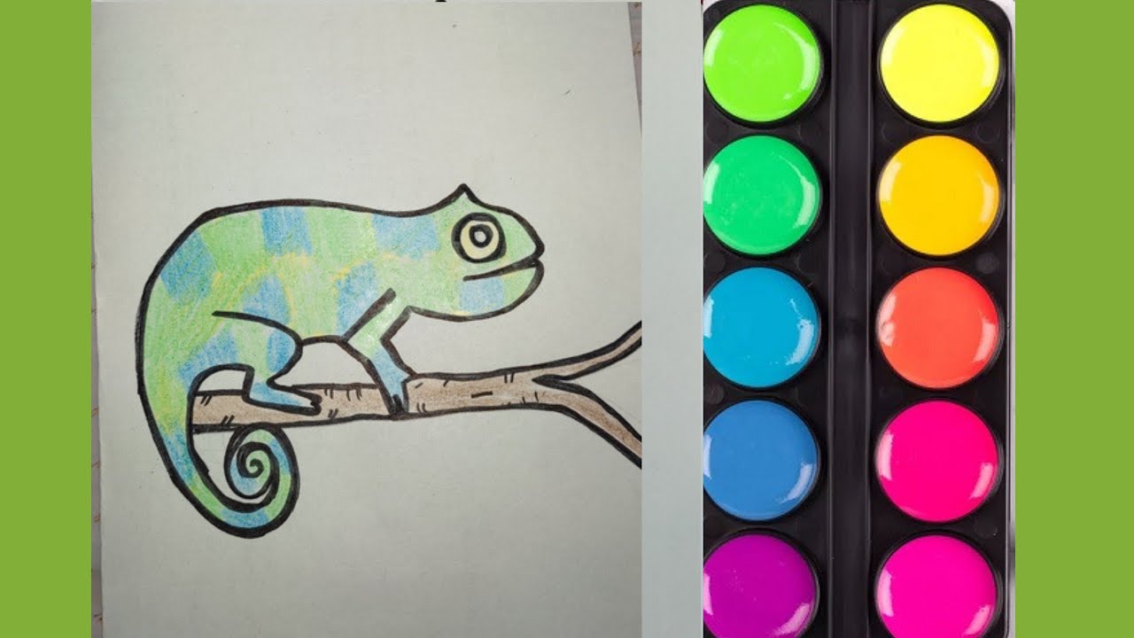 chameleon.how to draw a chamelon. - YouTube