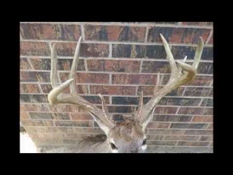 Missouri's 160 Class Whitetail - My Biggest Buck - YouTube