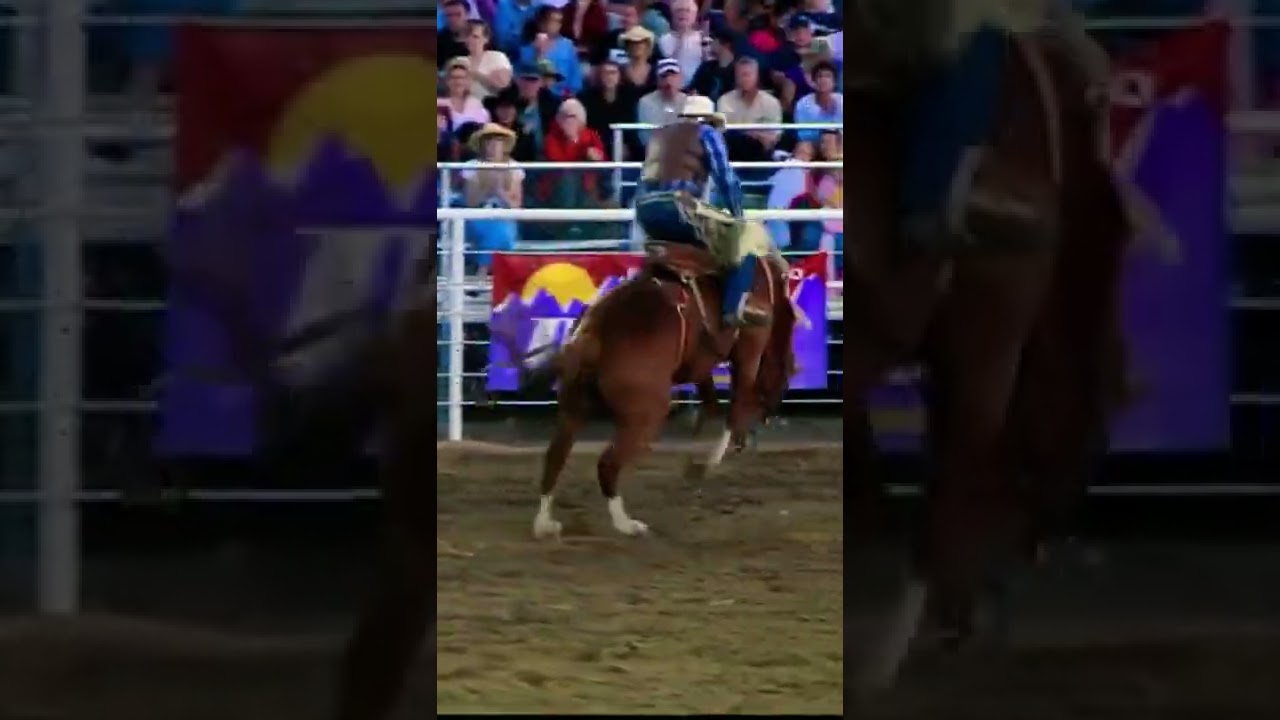 PRCA Oakley Rodeo SADDLE BRONC RIDING # 85 (Ride 2) - YouTube