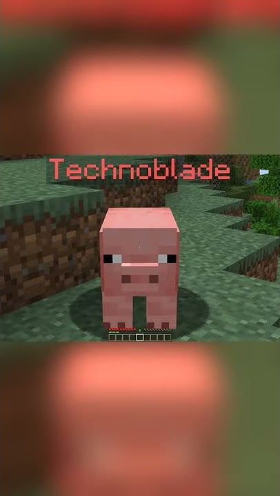 I made Technoblade in Minecraft!... Well... - YouTube