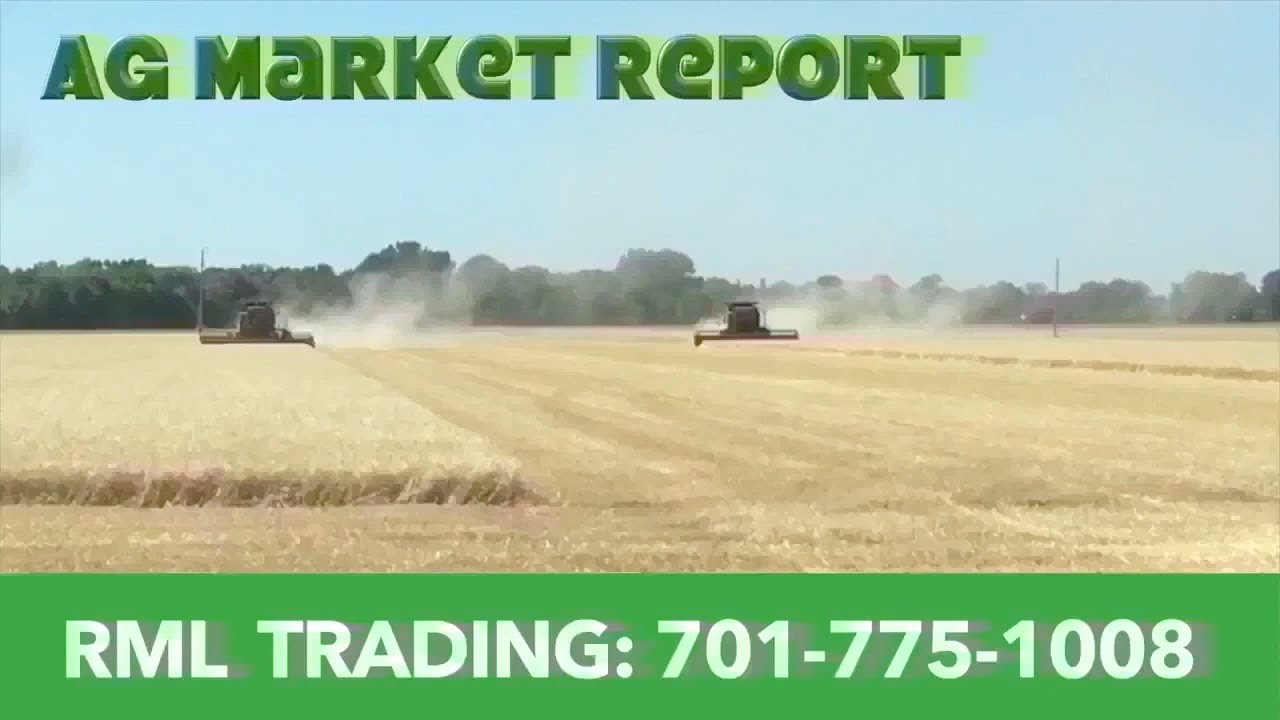 Wednesday Ag Market Report - YouTube