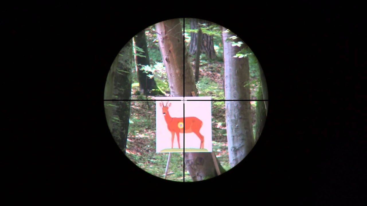 Vortex Diamondback HP 4-16x42 Reticle V-plex subtensions - YouTube