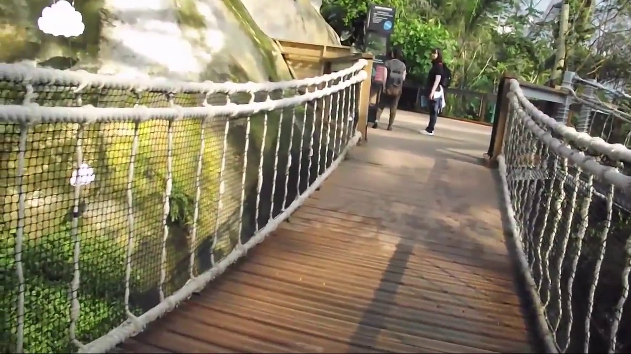 Eden Bridge Walk - YouTube