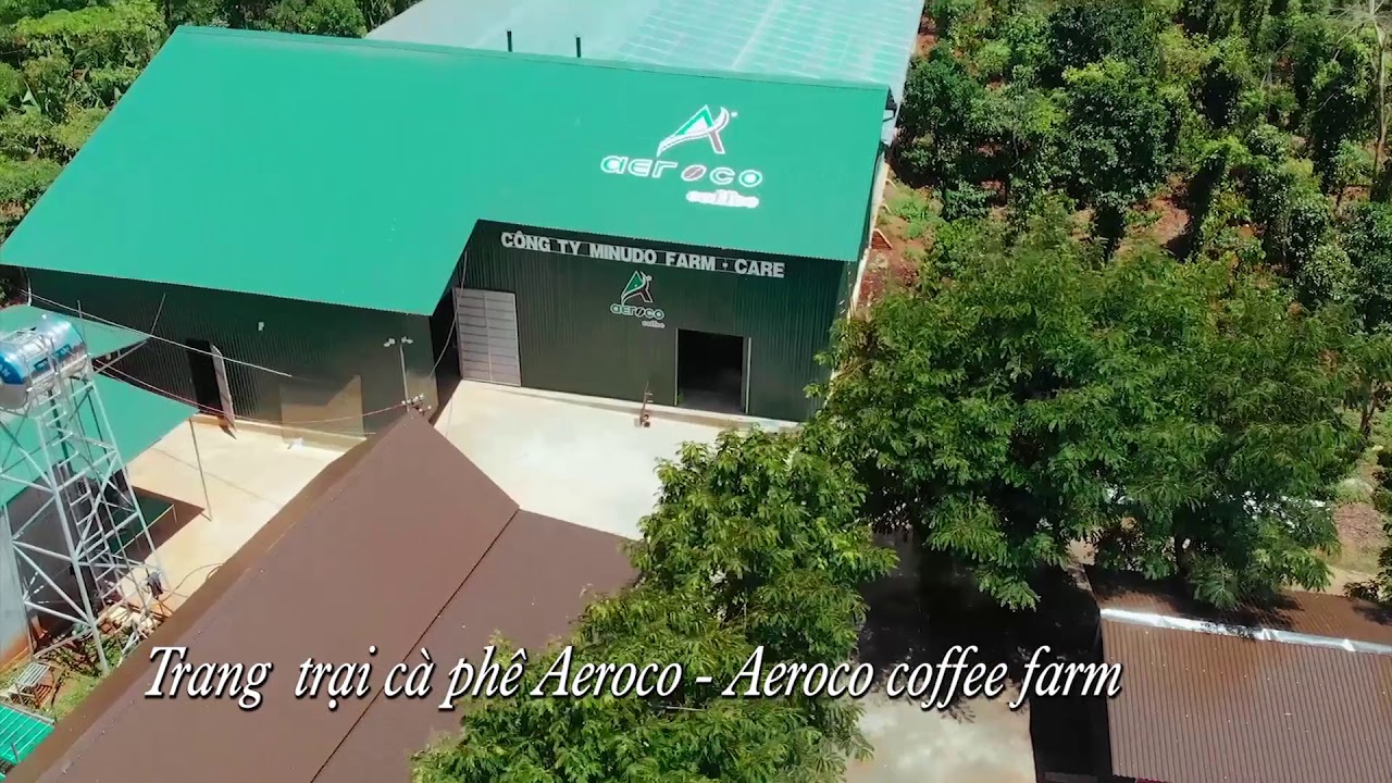 Aeroco coffee farm- Buôn Ma Thuột, Viet Nam - YouTube