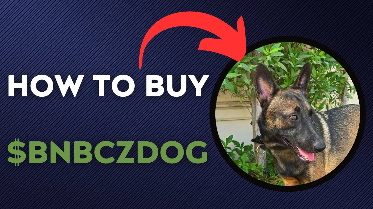 how-to-buy-bnbczdog-bnb-cz-dog-token-crypto-coin-in-60-seconds-youtube