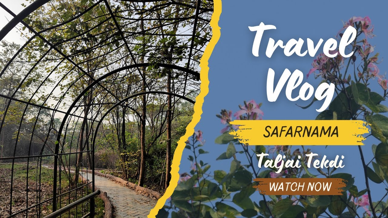 Taljai Tales: A Journey Beyond the Usual | Content Carvaan - YouTube