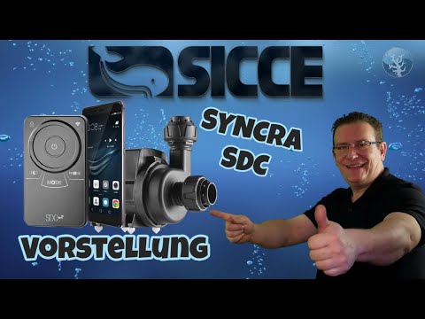 📢Wir schauen uns die neue Sicce SYNCRA SDC mal an 👉Produktvorstellung👈 #sicce