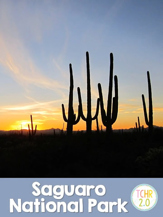 Saguaro National Park Research Project - YouTube