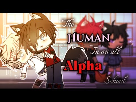 |The Human In An All Alpha School//glmm//bl|