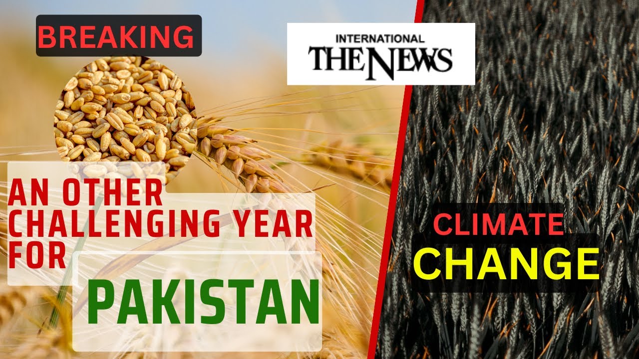 An other challenging year for Pakistan's wheat production, 20223 | food ...