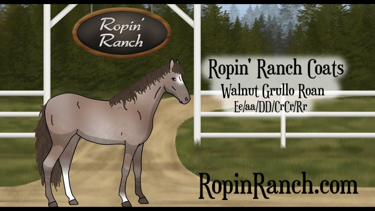 Ropin' Ranch Coat Tutorial | Walnut Grullo Roan - YouTube