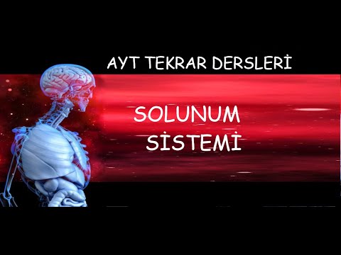 SİSTEMLER ÖZET / SOLUNUM SİSTEMİ