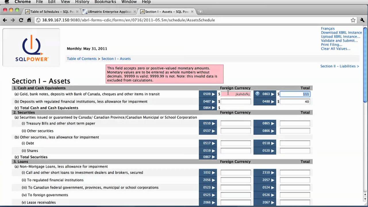XBRL Forms Demo - YouTube