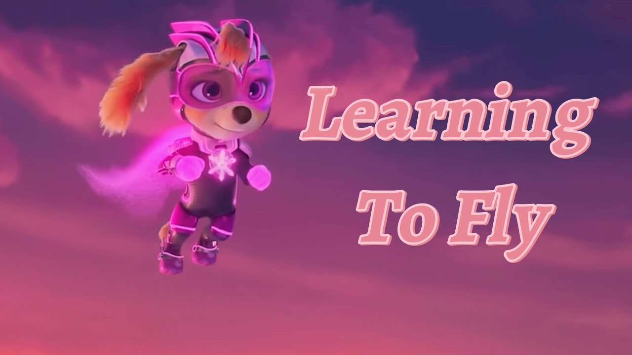 ℒℯ𝒶𝓇𝓃𝒾𝓃𝑔 𝓉ℴ ℱ𝓁𝓎 𝒮𝓀𝓎ℯ 𝒯𝓇𝒾𝒷𝓊𝓉ℯ {𝒜ℳ𝒱 } - YouTube