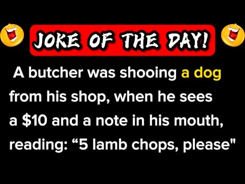 🤣 BEST JOKE OF THE DAY! - A butcher was shooing a dog from his shop ...
