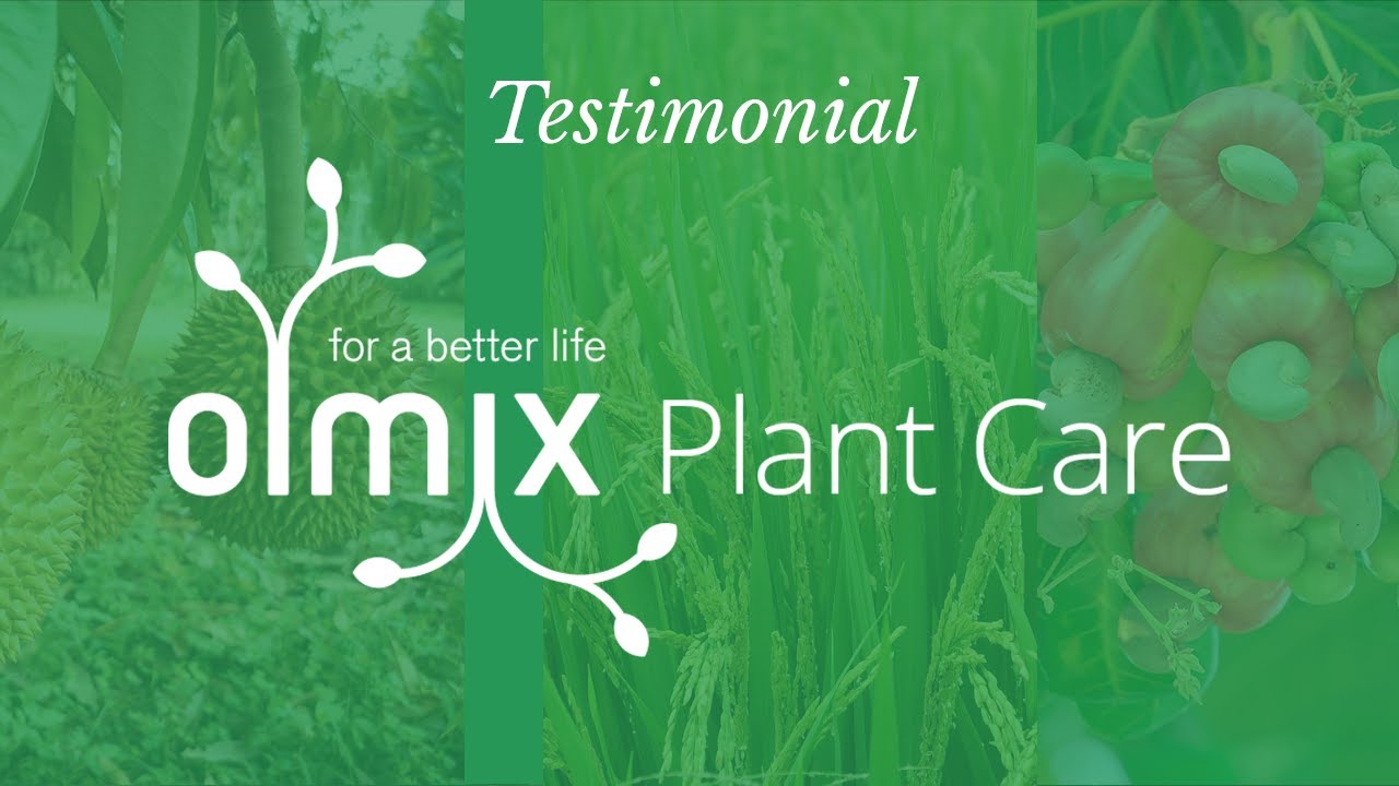 Olmix Plant Care testimonial: Boosting sustainability in Cambodian ...