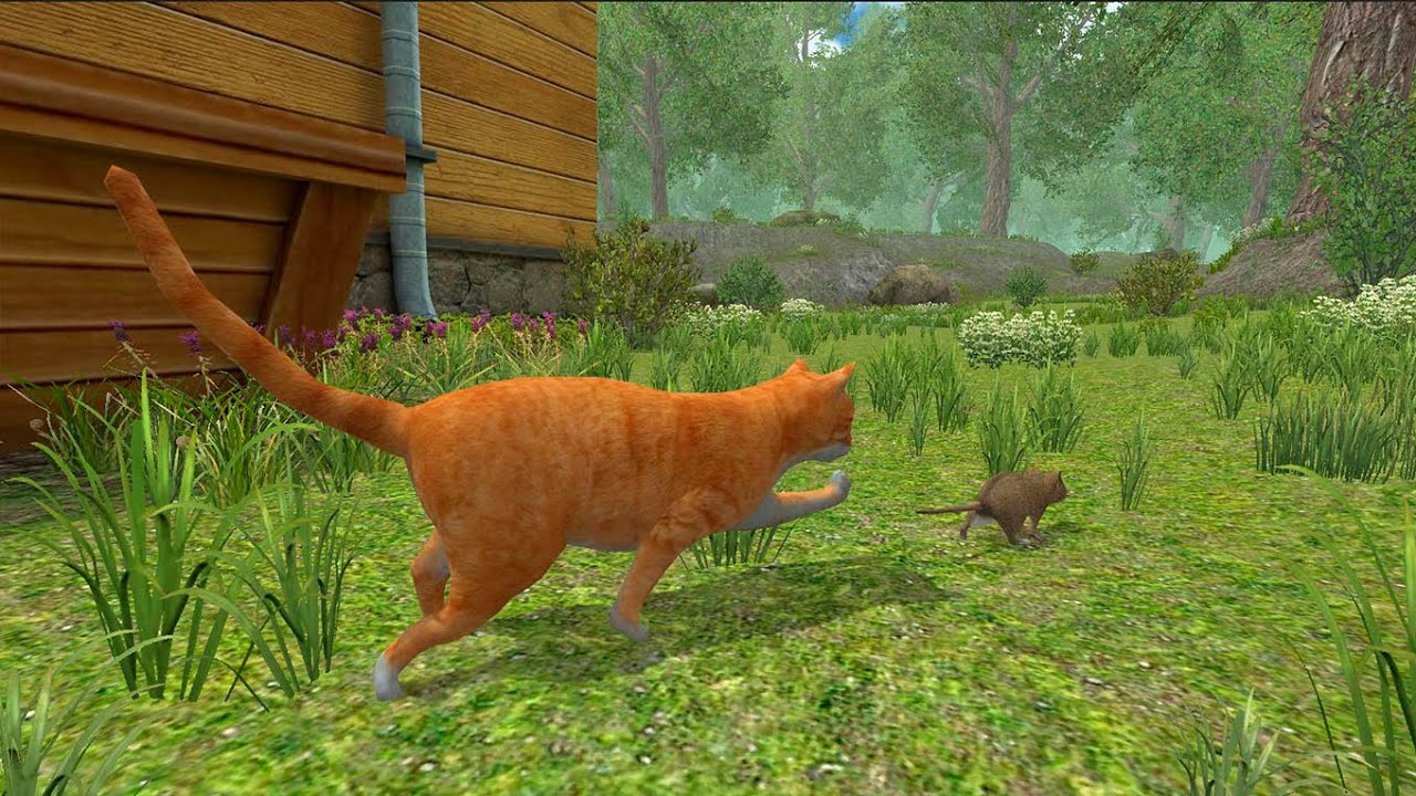 Metiendo comida en mi agujero | Mouse Simulator : Forest Home Gameplay ...