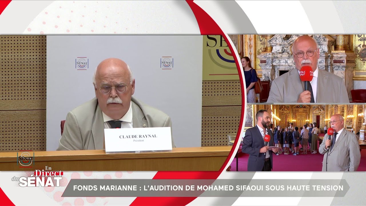 Claude Raynal : "Je crois que M Sifaoui voulait en profiter pour faire ...