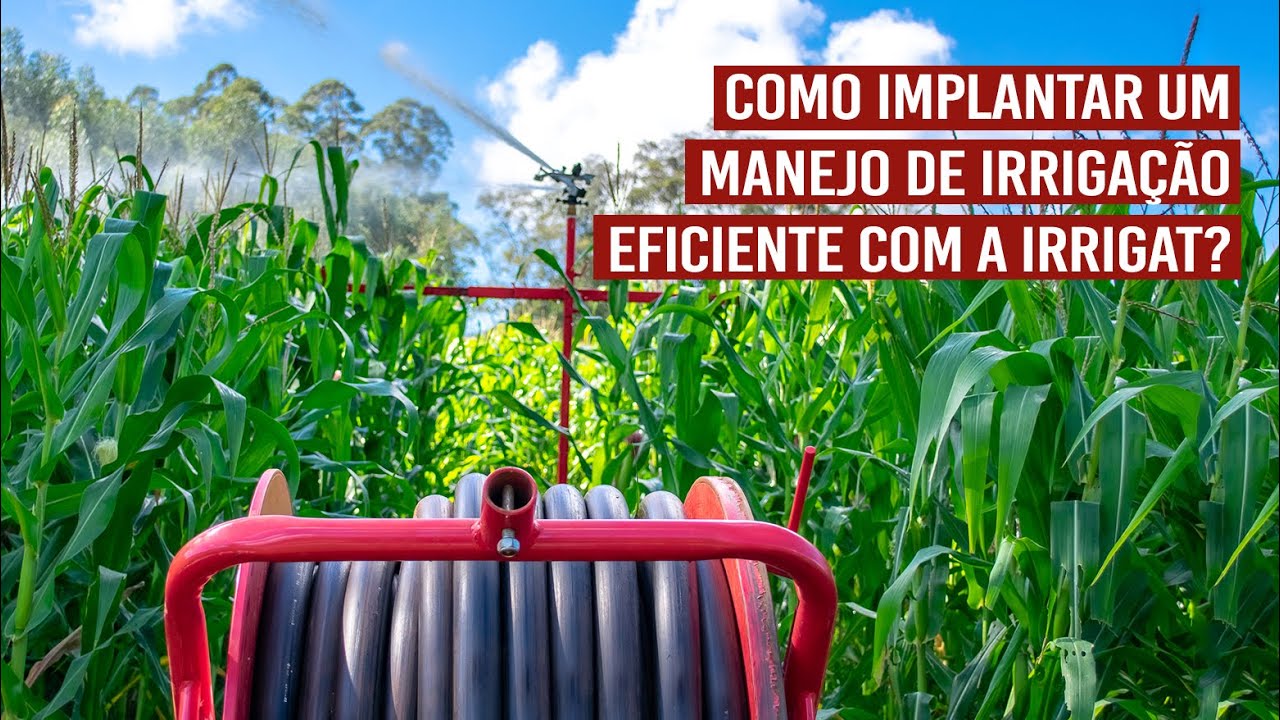 Como implantar um manejo de irrigação eficiente com a IRRIGAT - YouTube