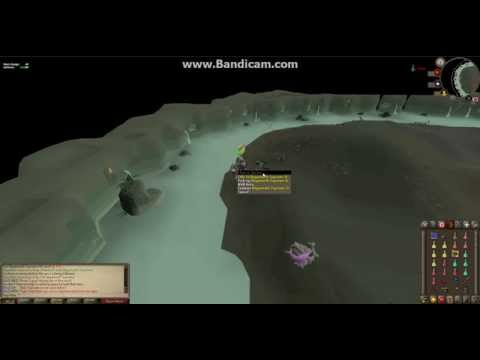 Oldschool runescape Supreme pet + Shield left Half