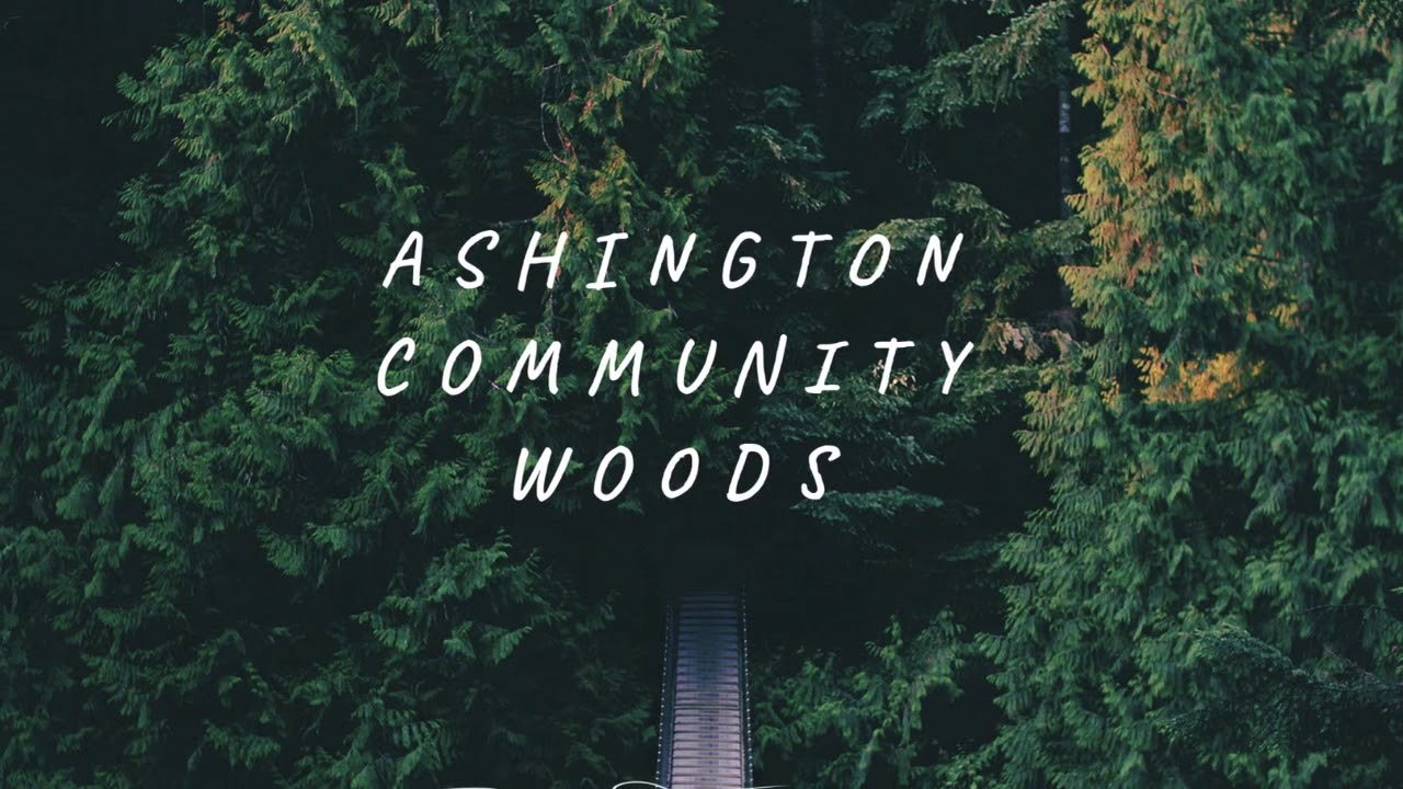 Ashington Community Woods - YouTube