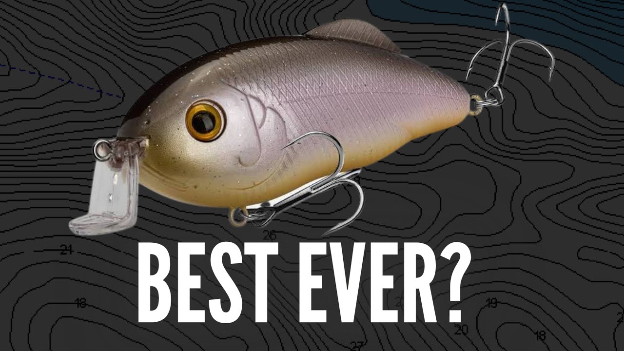 The BEST Small Grass Crankbait that I've EVER Used! (Bass Fishing Tip ...