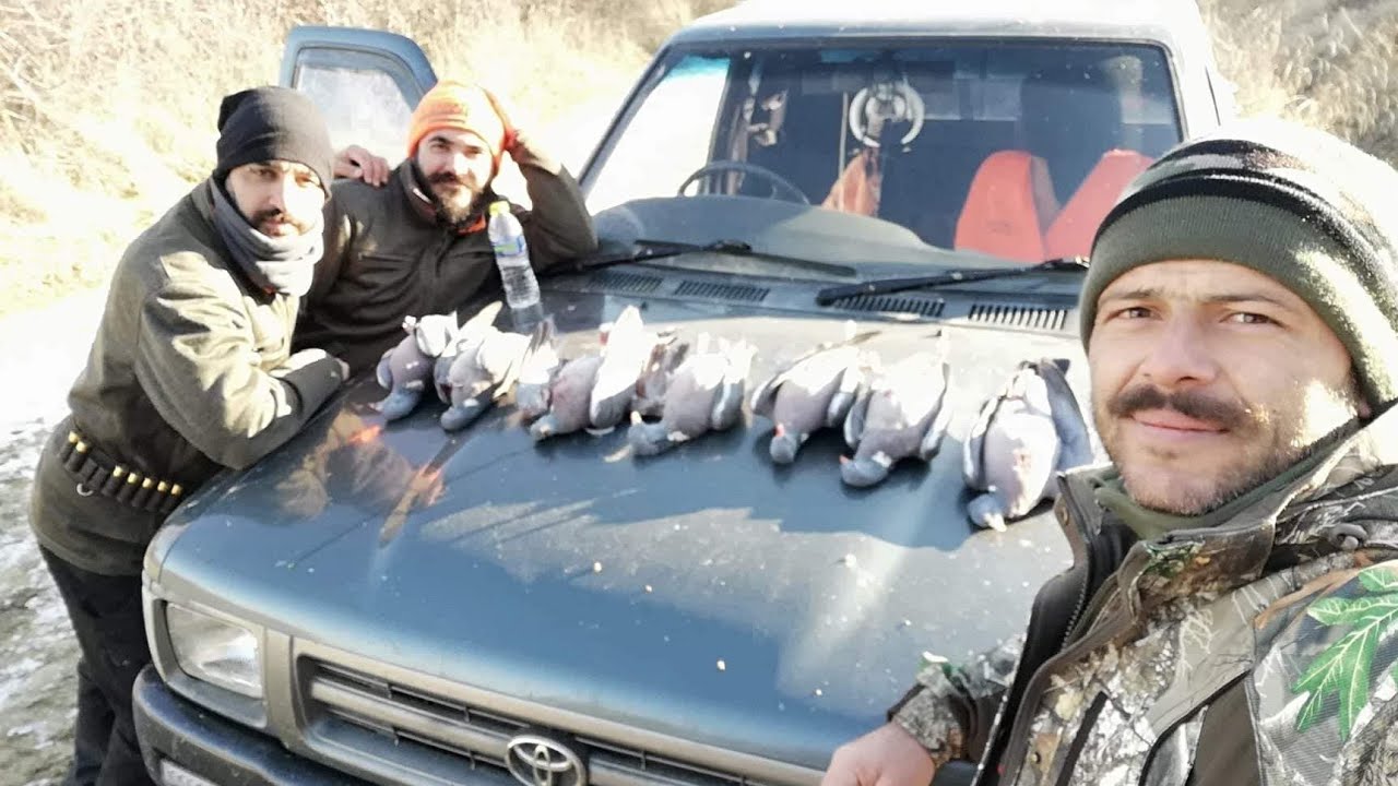 ΚΥΝΗΓΙ ΦΑΣΣΑΣ ΣΤΟ ΒΕΛΑΝΙ HUNTING PIGEON 2020 (ΣΤΑΥΡΟΣ) no8 - YouTube