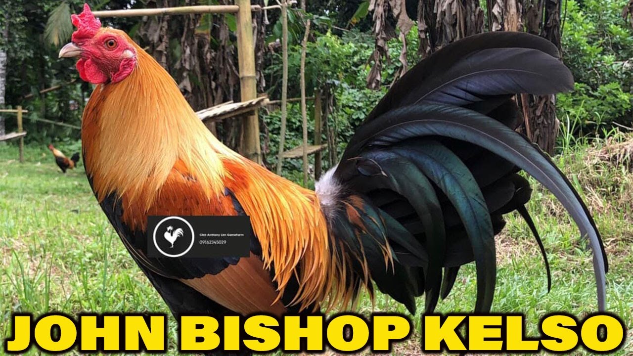 John Bishop Kelso Raptor Sweater Garry Gilliam Roundhead - Clint ...