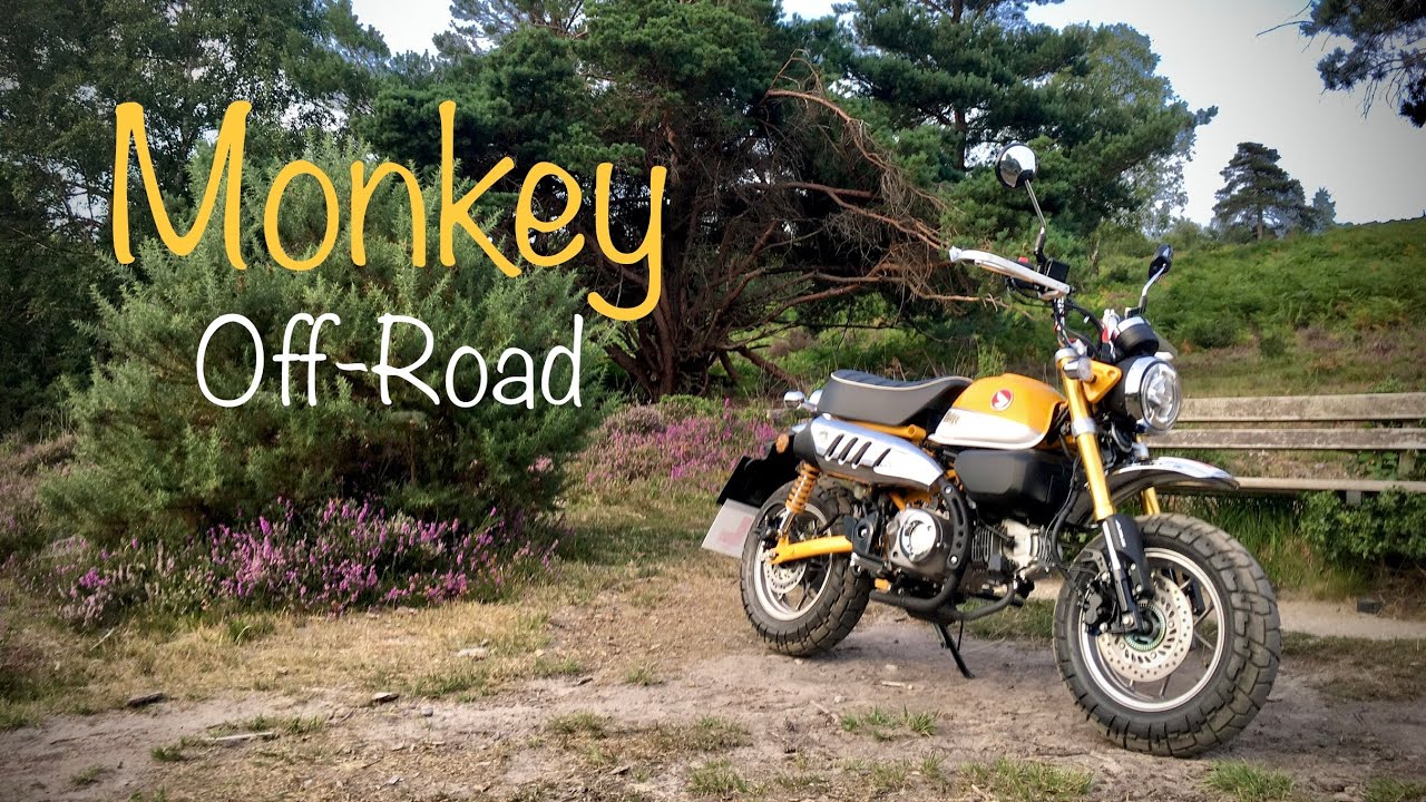 Honda Monkey 2019 - Off Road + Twisties UK - YouTube