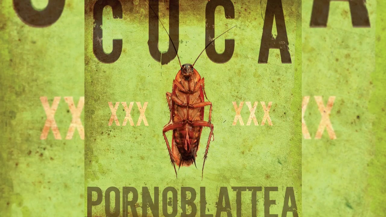8. Cuca - Me Miran (Audio Oficial) - YouTube