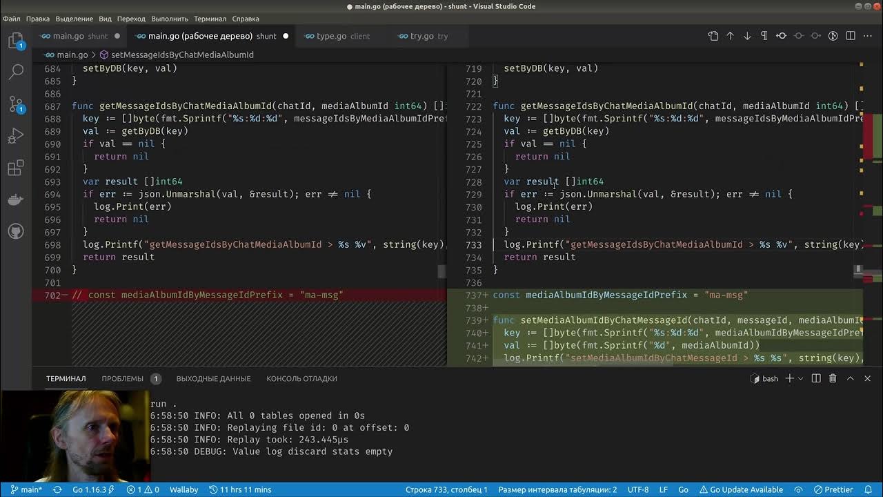 GoLang #164 - telegram-forwarder - race condition - YouTube