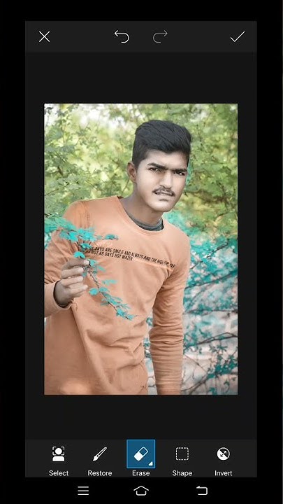 #Shorts_ Pick Art Editing ~ Lightroom presets ~ Snapsed Editing ~ Samir Editing Point - YouTube