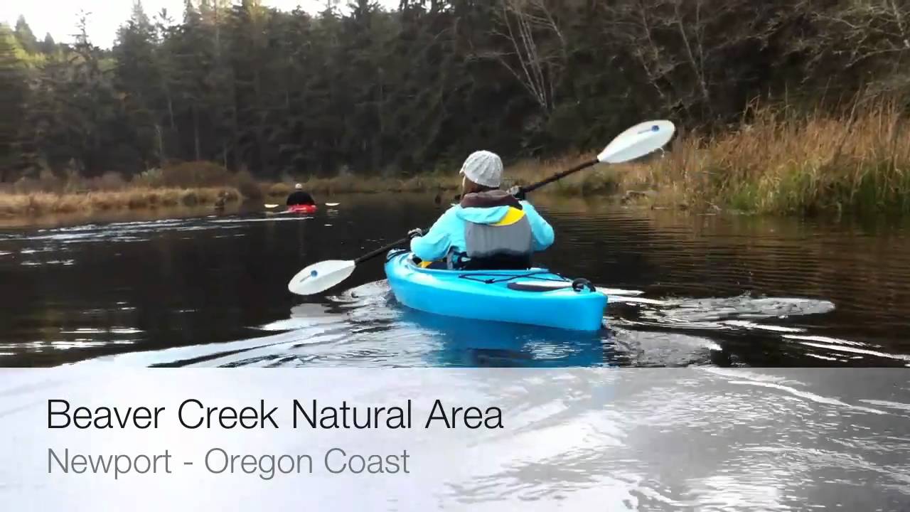 Beaver Creek Natural Area - Central Oregon Coast - YouTube