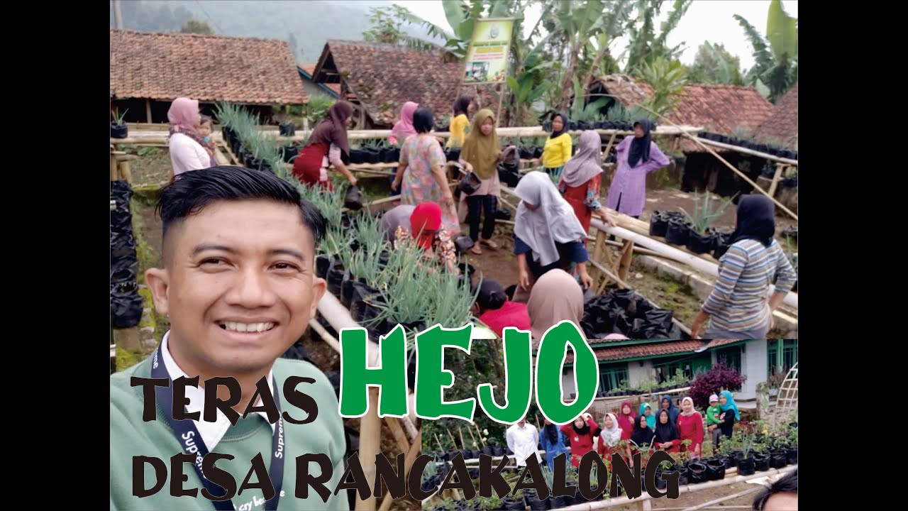 TERAS HEJO DESA RANCAKALONG - YouTube