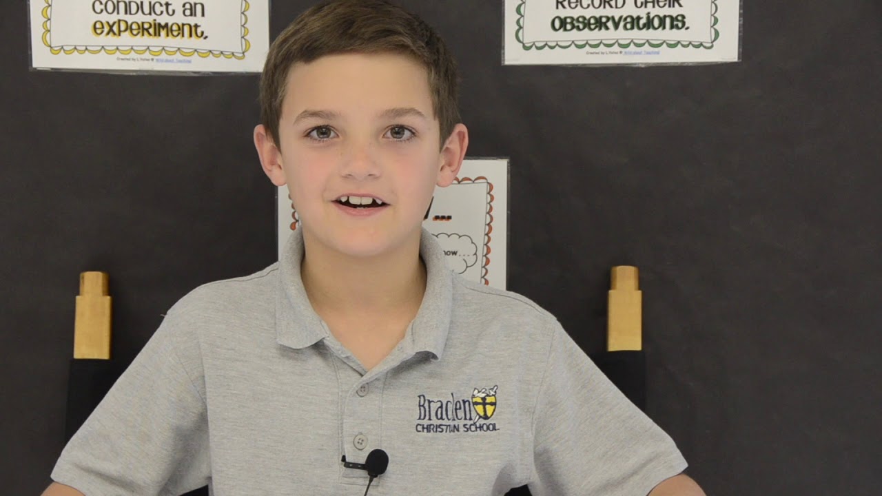 Why Bracken? - YouTube