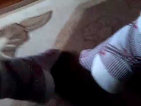 Patterned vintage nylon socks