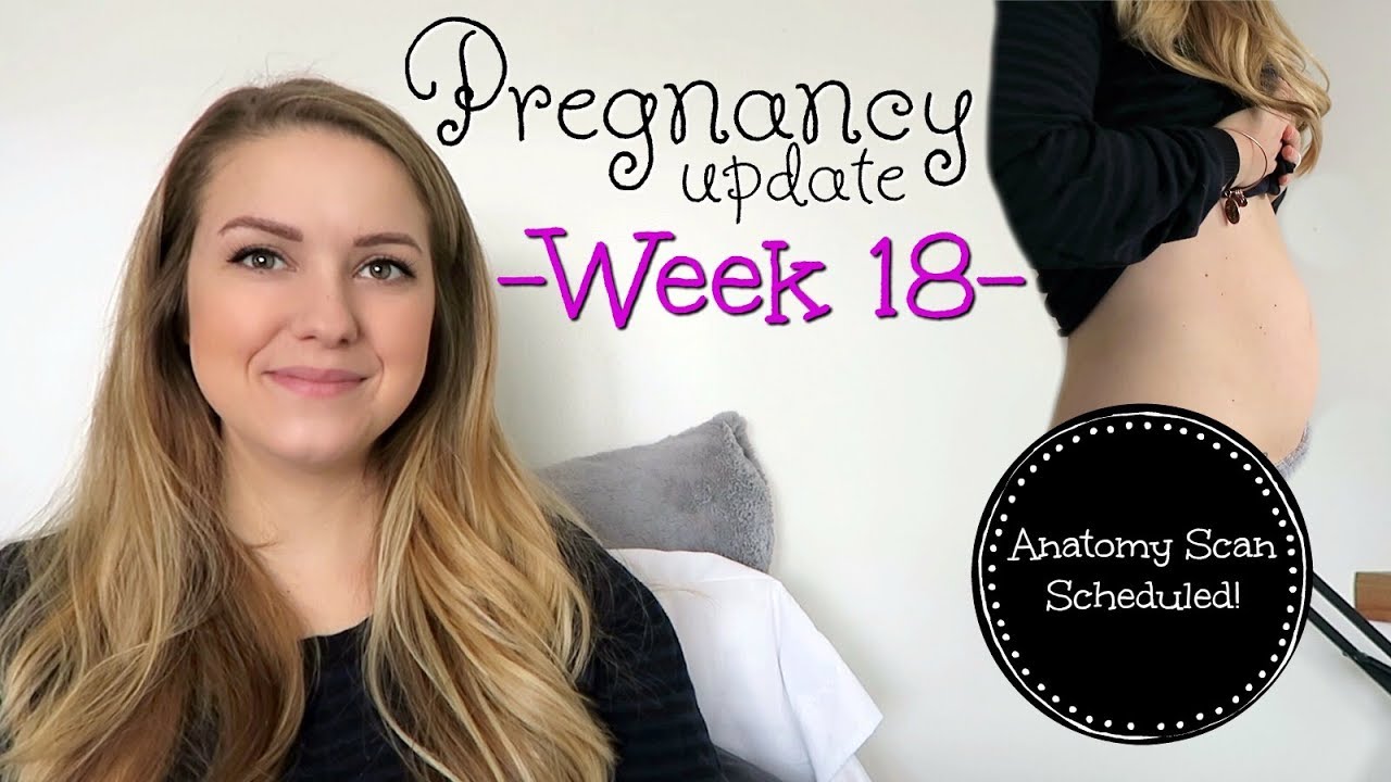PREGNANCY UPDATE || WEEK 18 || ANATOMY SCAN BOOKED! - YouTube