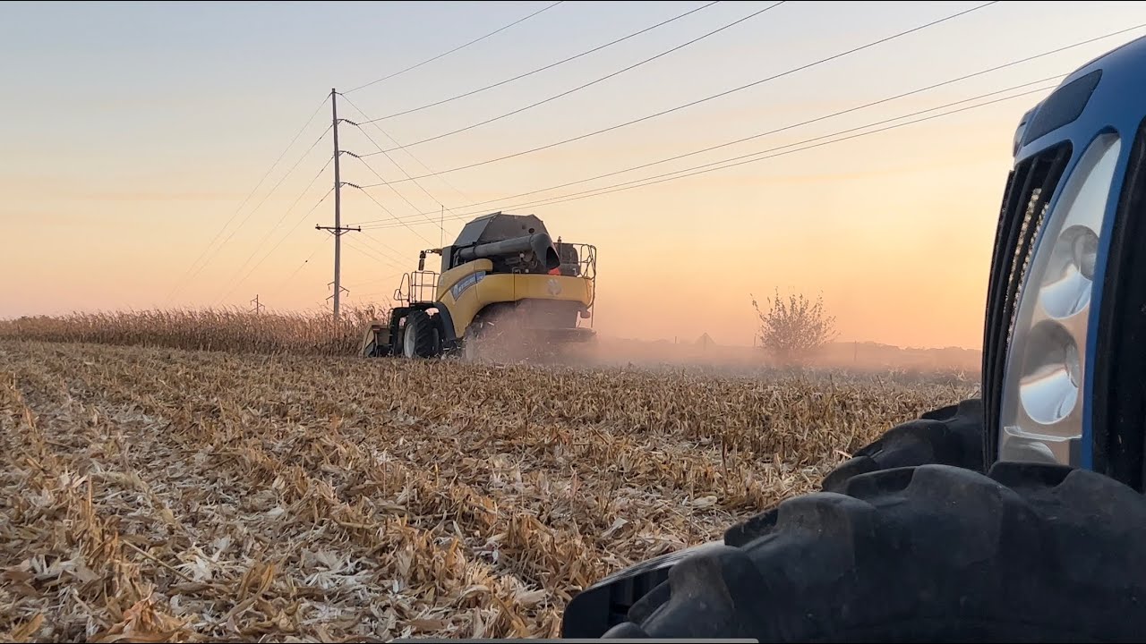 The Final Days of the 2022 Fall Harvest / DAYS 17-21 - YouTube