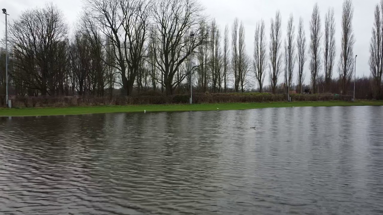 Flood fields of Moss Farm, Winnington - YouTube