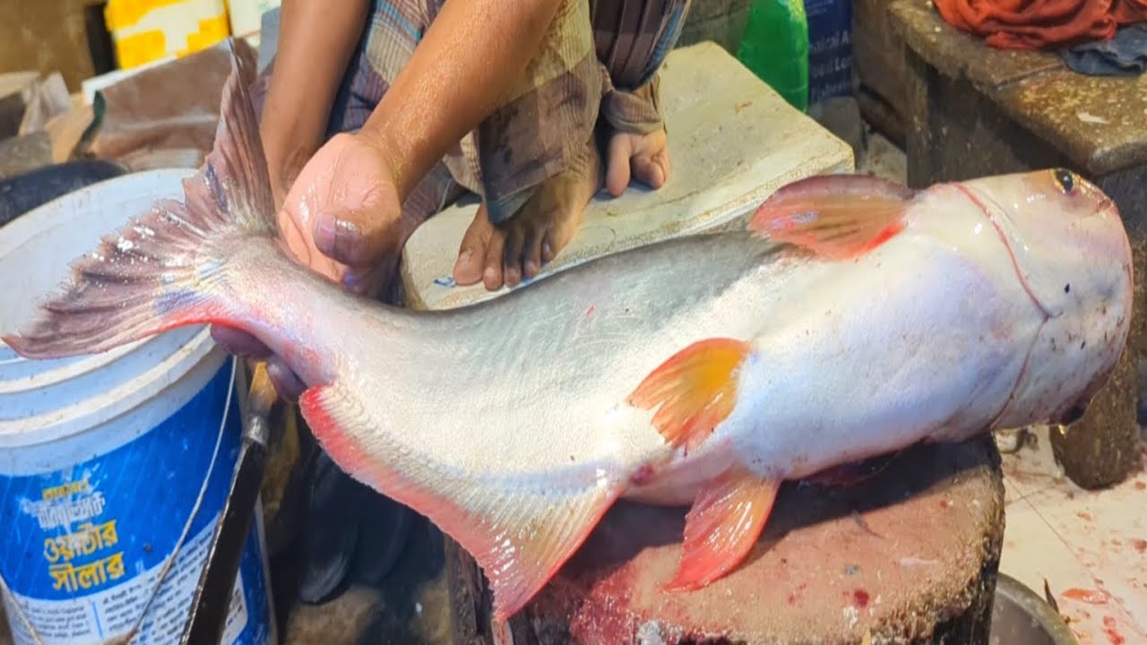 Incredible Giant Pangas Fish Cutting & Chopping In Bangladesh Local ...